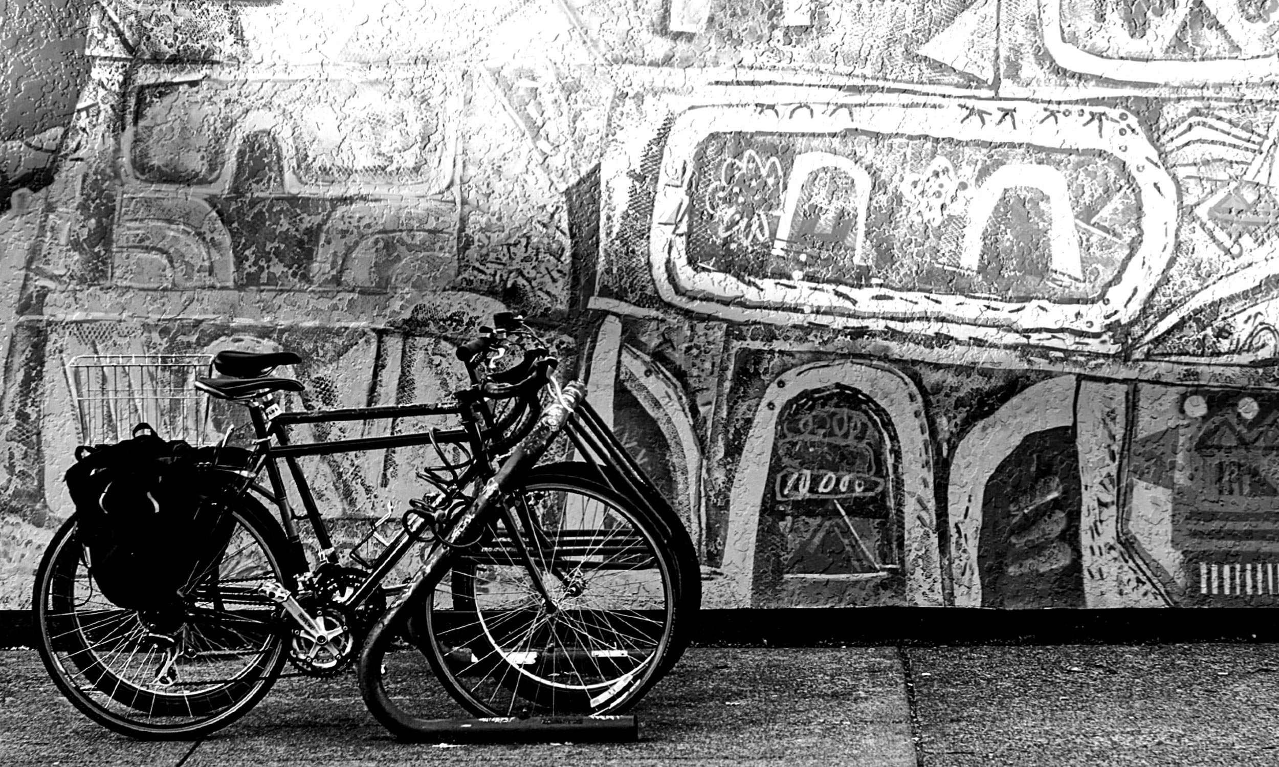 Haven by Chard Development | Studio, 1, 2, and 3 Bedroom Homes